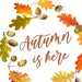 Autumn is Here, Printable Autumn Decor Pumpkin Printable, Fall ...