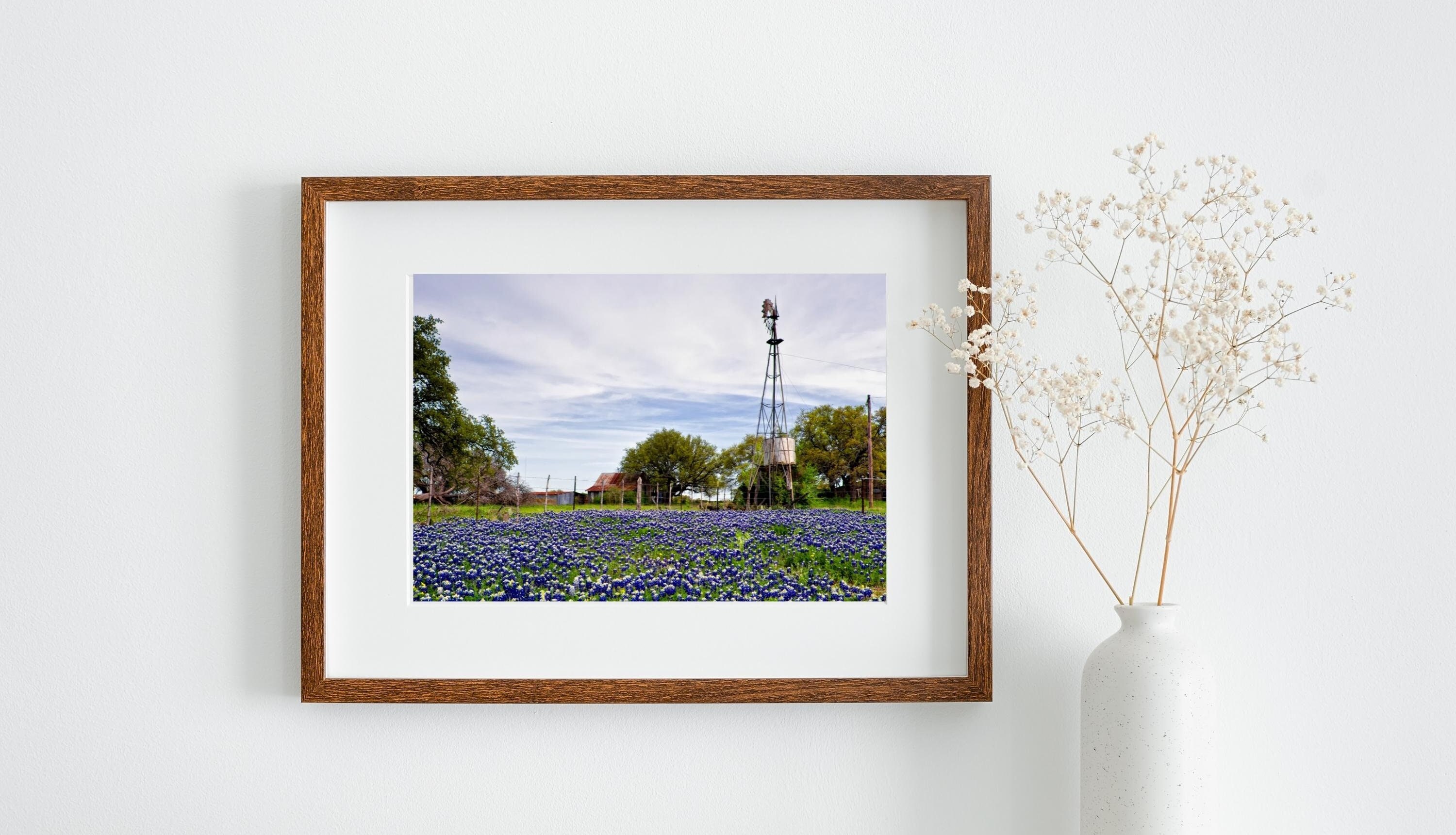 Bluebonnets, Windmill, Fence Photo, Texas Country Home Decor ...