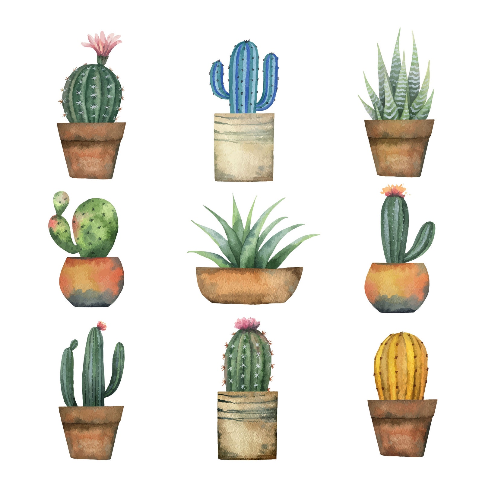 Watercolor Cactus Print, Cactus Art Print, Digital Cactus Artwork ...