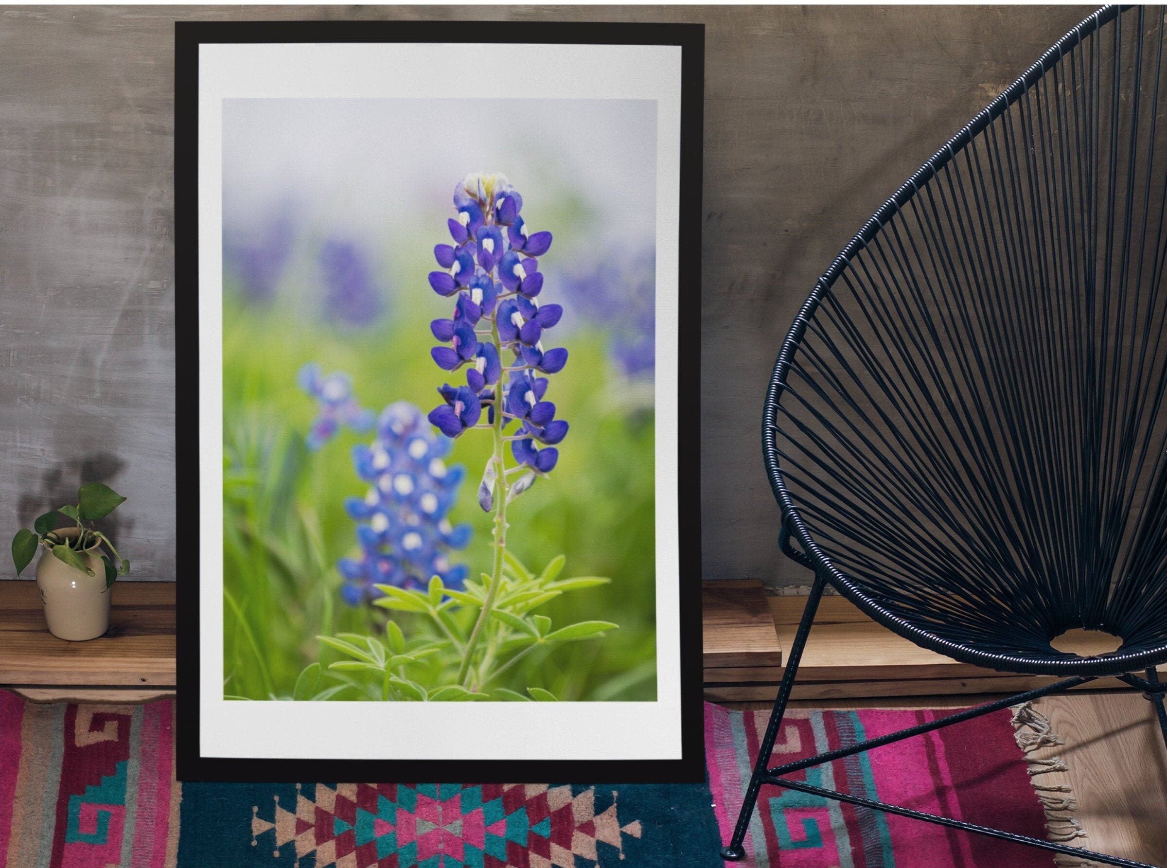 Bluebonnet Photo, Texas Home Decor, Wildflower, Botanical, Floral Wall ...