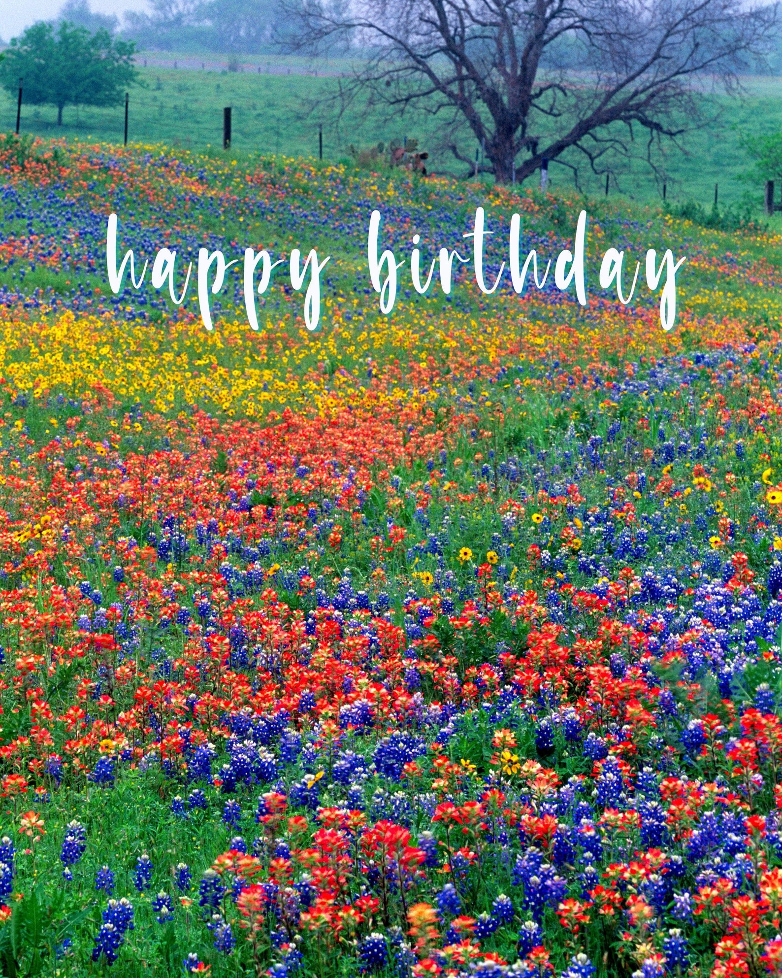Happy Birthday Card Wildflowers Bluebonnets Indian | Etsy