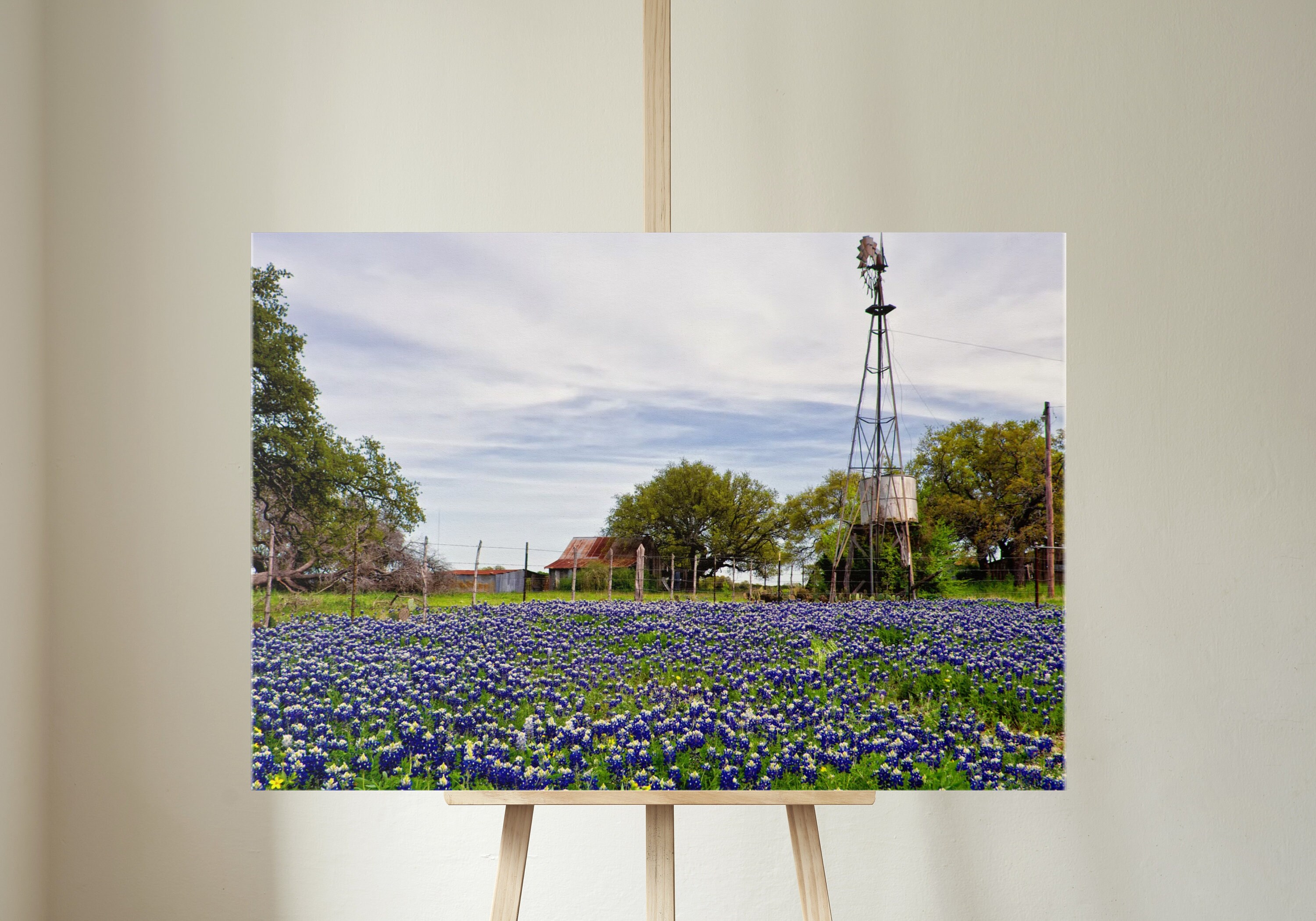 Bluebonnets, Windmill, Fence Photo, Texas Country Home Decor ...