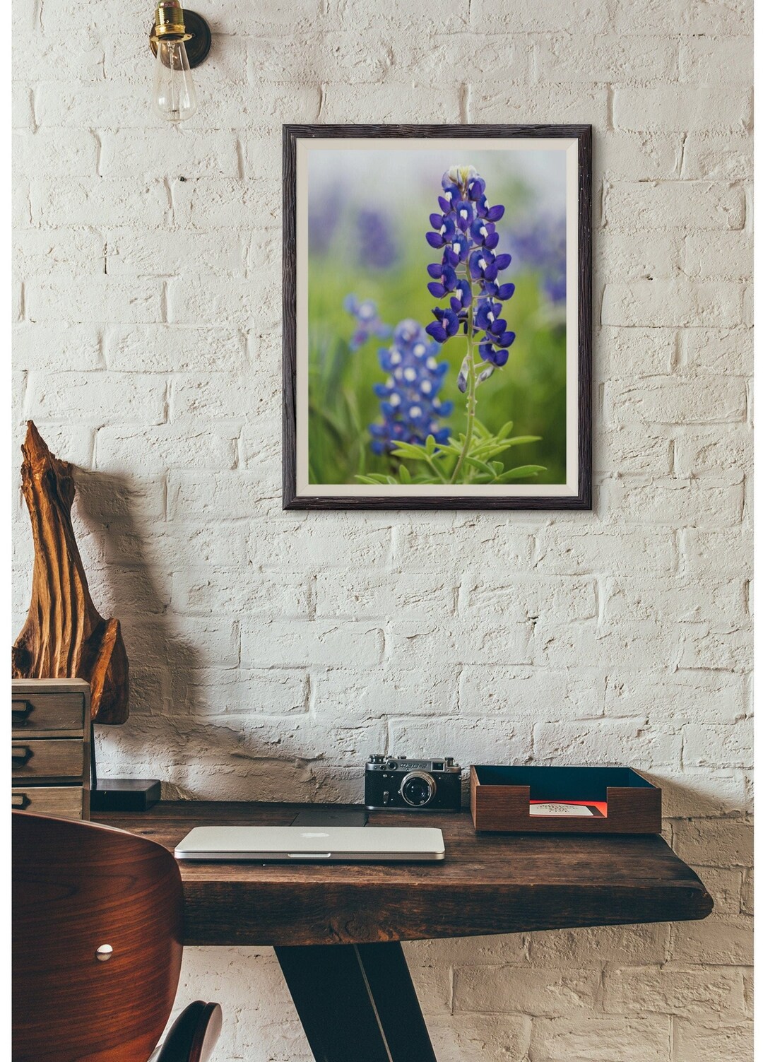 Bluebonnet Photo Texas Home Decor Wildflower Botanical - Etsy