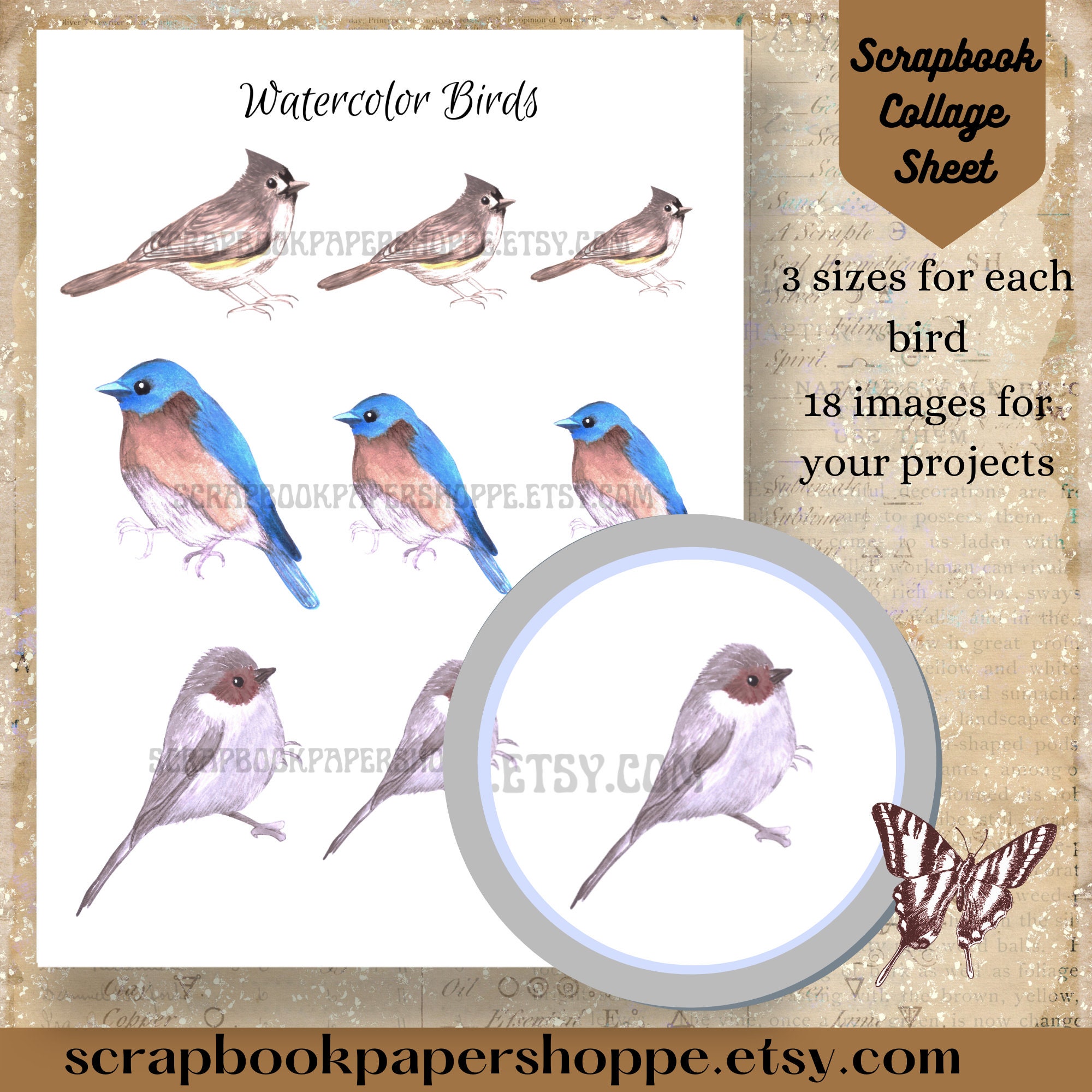 Birds Digital Scrapbook Paper | Collage Sheet | Instant Download ...
