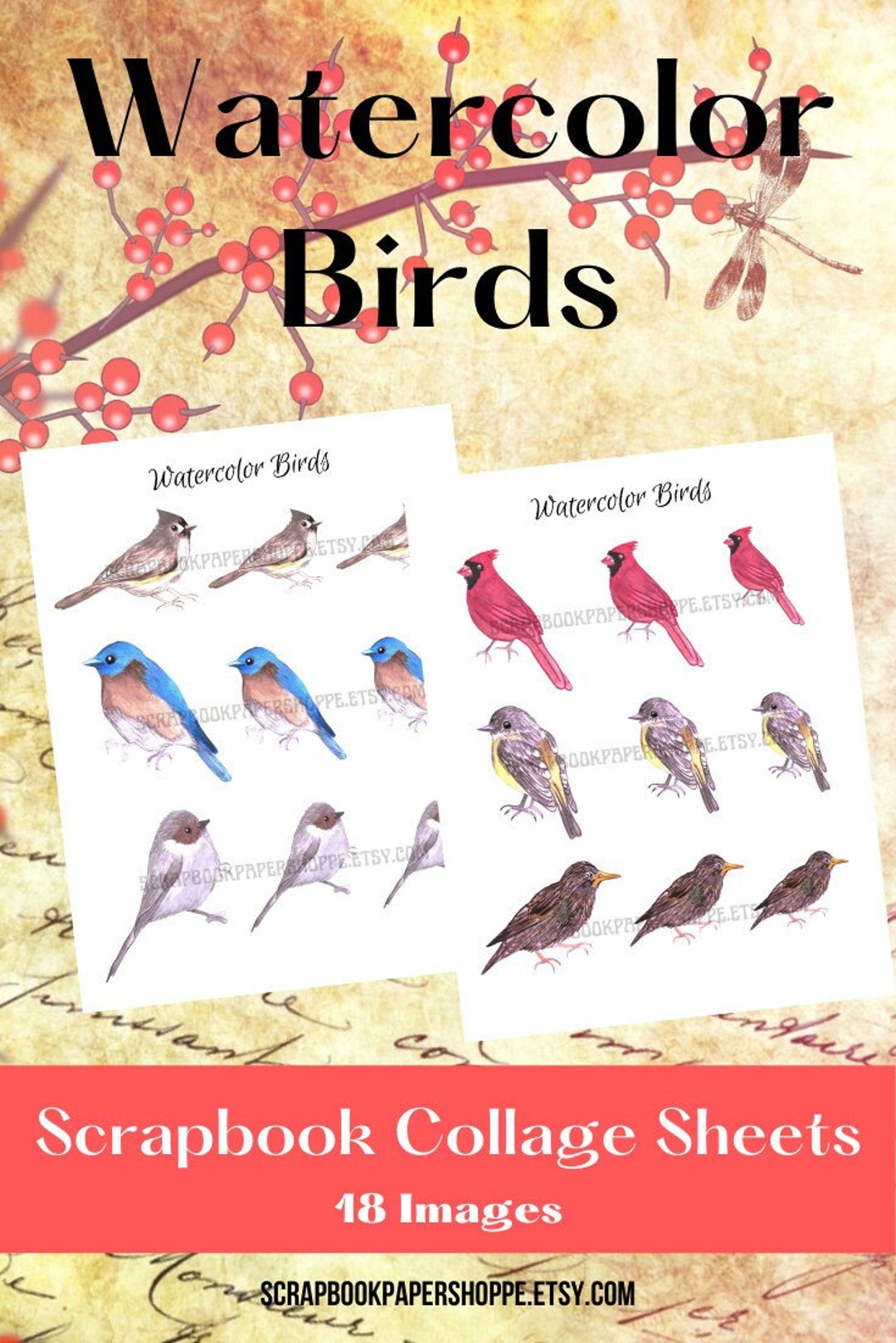 Birds Digital Scrapbook Paper | Collage Sheet | Instant Download ...