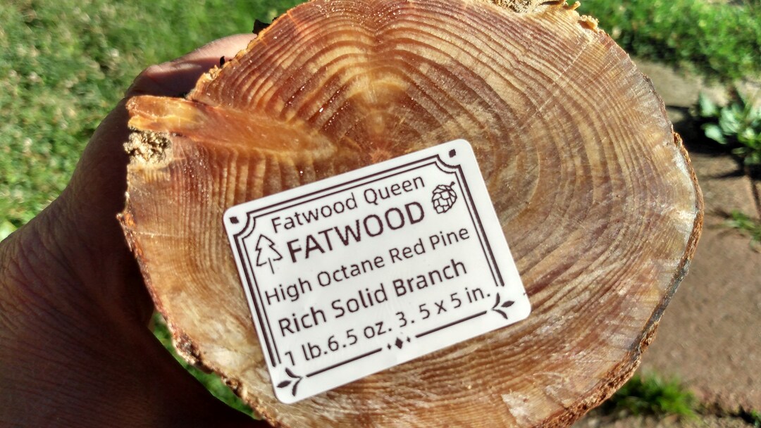 High Octane Red Pine Fatwood Single Solid Branch for Fire Making Fire ...