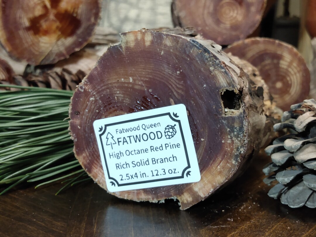 Juicy Fatwood Branch for Fire Craft Wood Craft Bush Craft Fire Starter ...