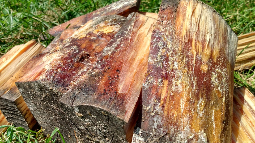 Red Pine Fatwood Fire Starter Tree Trunk / Tree Core Fatwood From Steve ...