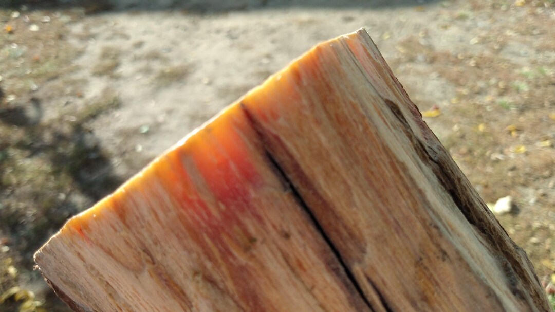 Austrian Pine Fatwood Log (for Fire Starter) - Etsy