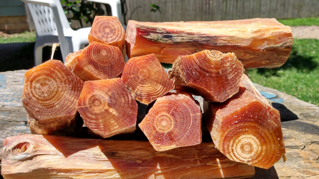 High Octane Red Pine Fatwood 1 Single Processed Branch for Fire Making ...