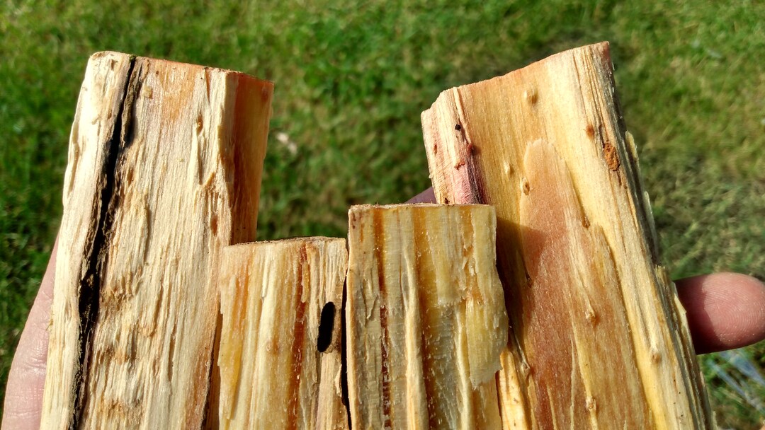 New Lite Sticky Fatwood 4 Processed Trunk Pieces Austrian Pine Rare and ...