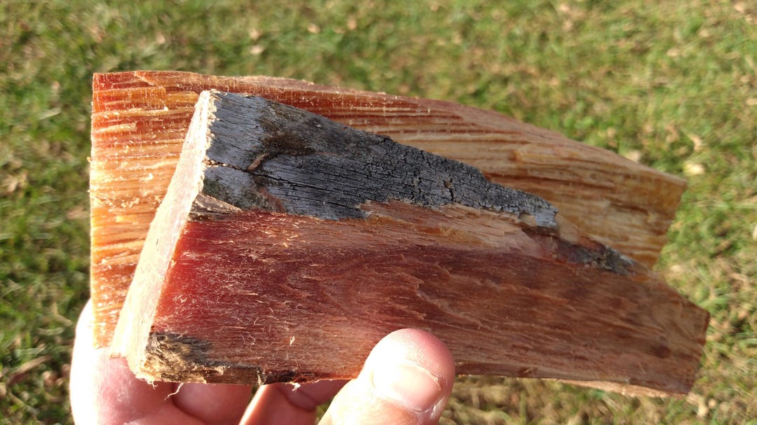 Red Pine Fatwood | Split Processed Branch - Etsy