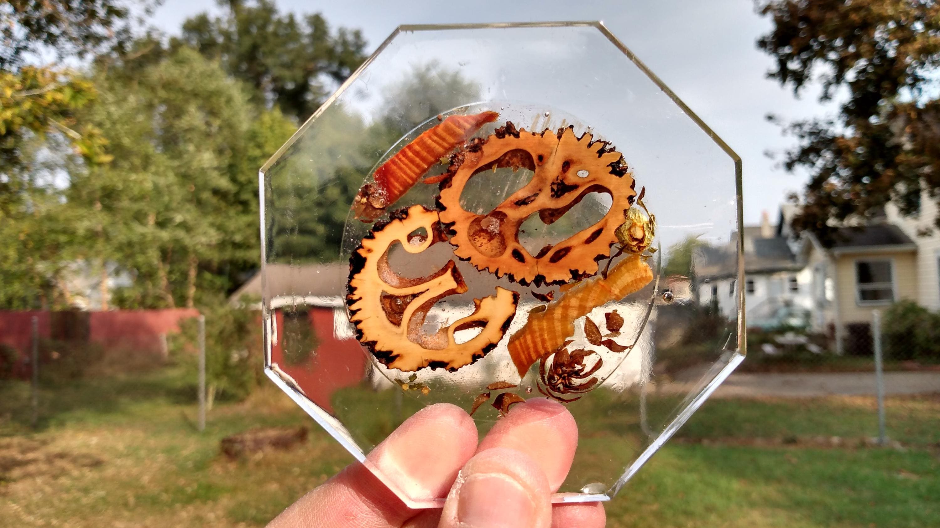 Resin Coaster Set: Octagon Evergreen & Walnut Shell Coasters With ...