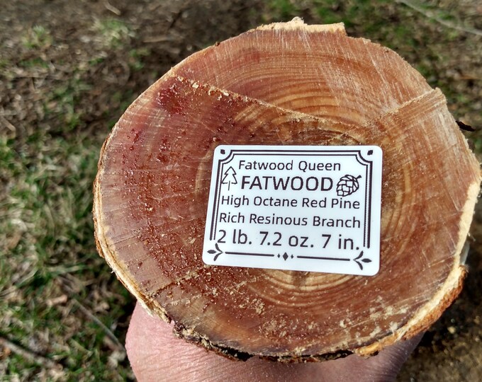High Octane Red Pine Fatwood Single Solid Branch for Fire Making or ...