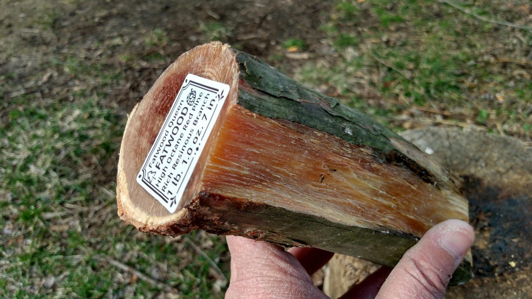 High Octane Red Pine Fatwood Single Solid Branch for Fire Making or ...