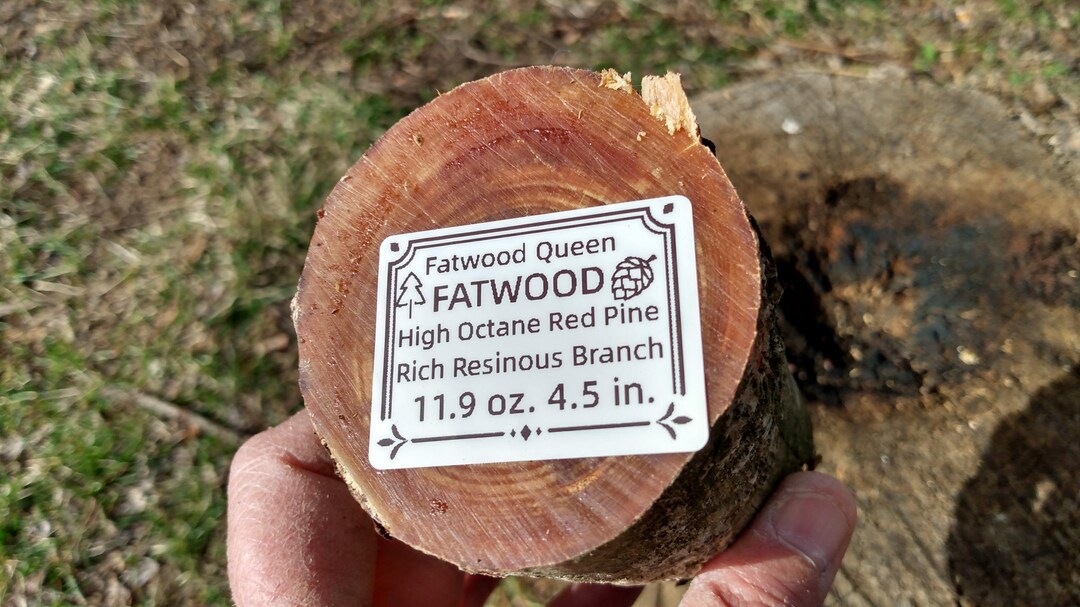 High Octane Red Pine Fatwood Single Solid Branch for Fire Making or ...