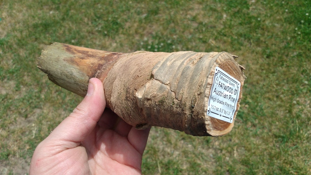 High Grade Pine Knot Fatwood Austrian Pine 99% Resinous for Fire Making ...