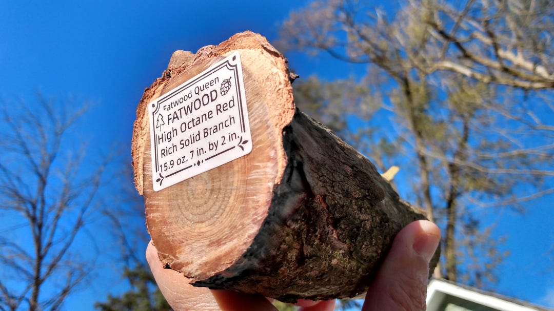 Fatwood Branch High Octane Red Pine for Fire Starter or Wood Craft ...