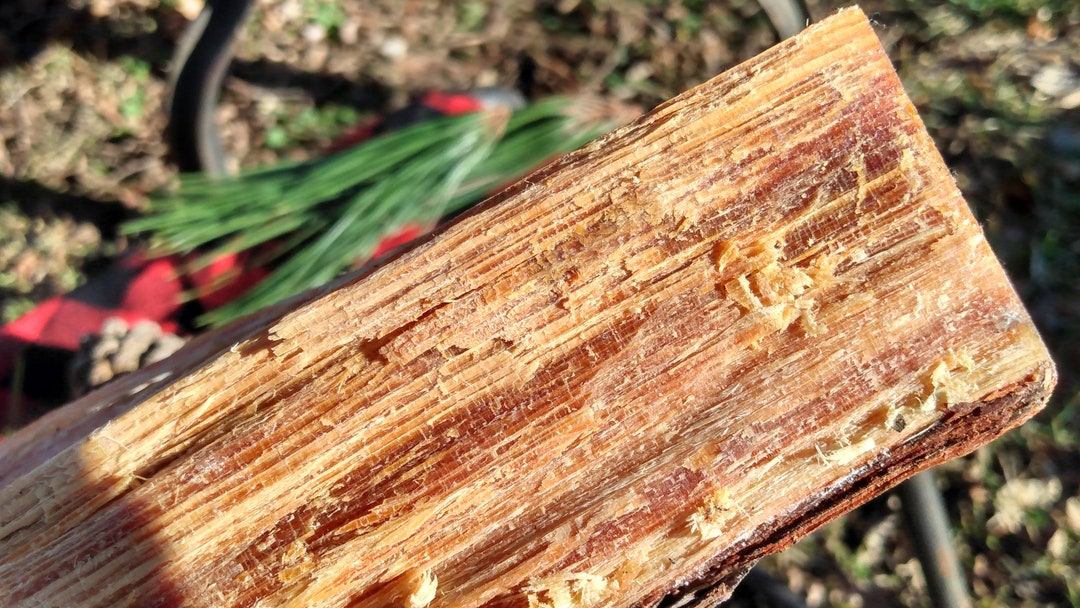 Austrian Pine Fatwood for Fire Starter or Wood Craft - Etsy