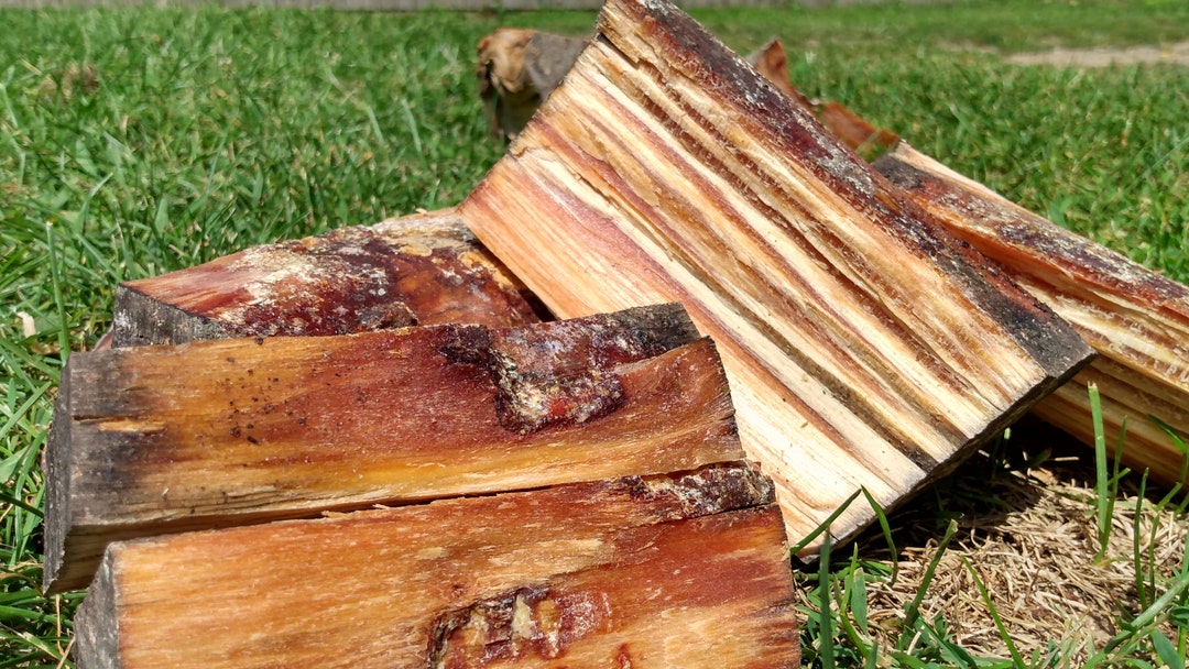 Red Pine Fatwood Fire Starter Tree Trunk / Tree Core Fatwood From Steve ...