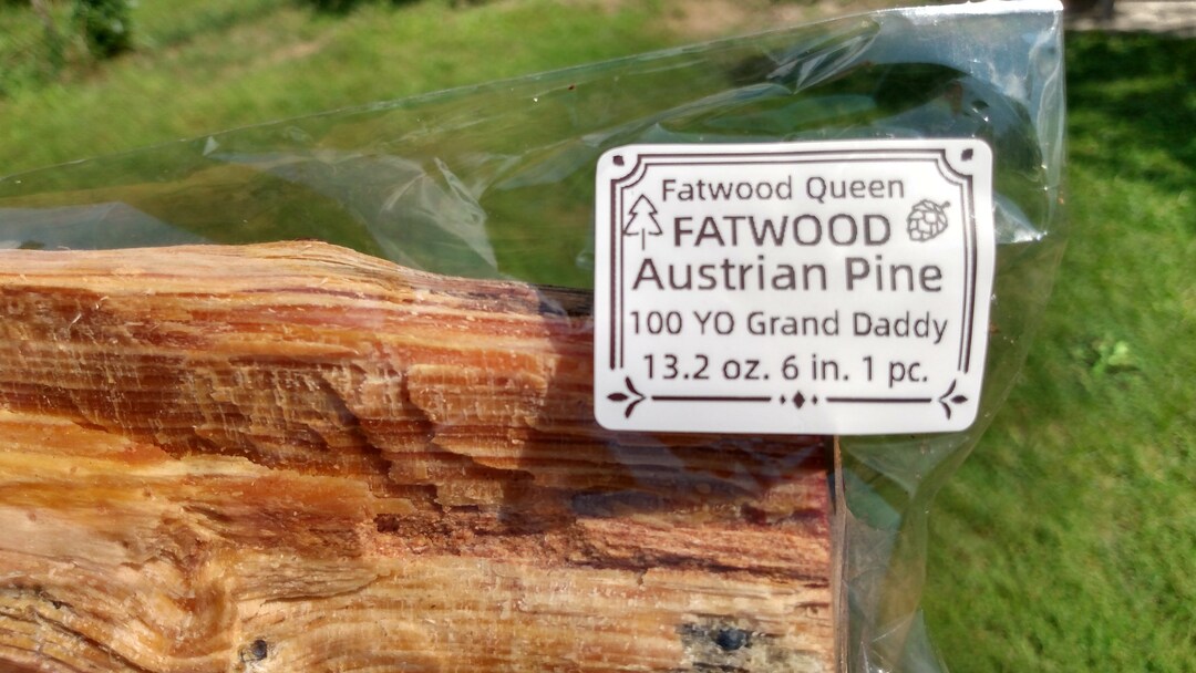 100 Year Old Fatwood Austrian Pine Fire Starter for Camping and Bush ...