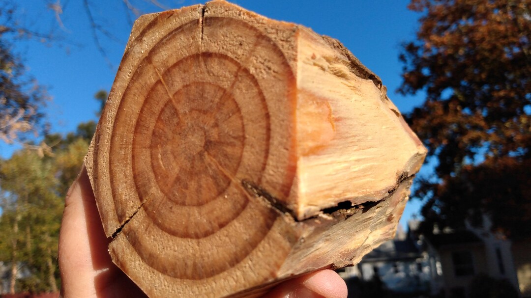 Michigan Pork Belly Fatwood Log for Fire Starter - Etsy