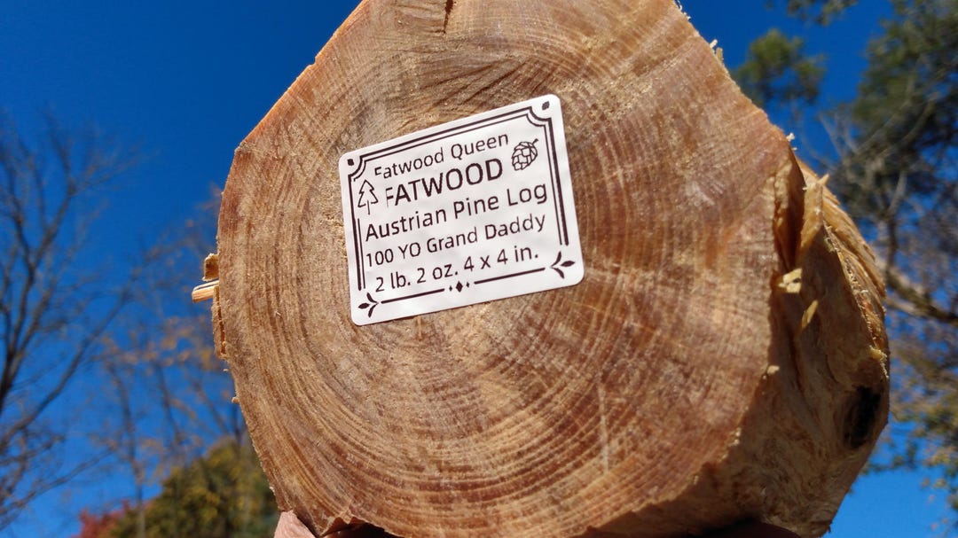 100 Year Old Fatwood Log Austrian (black) Pine Fire Starter for Camping ...