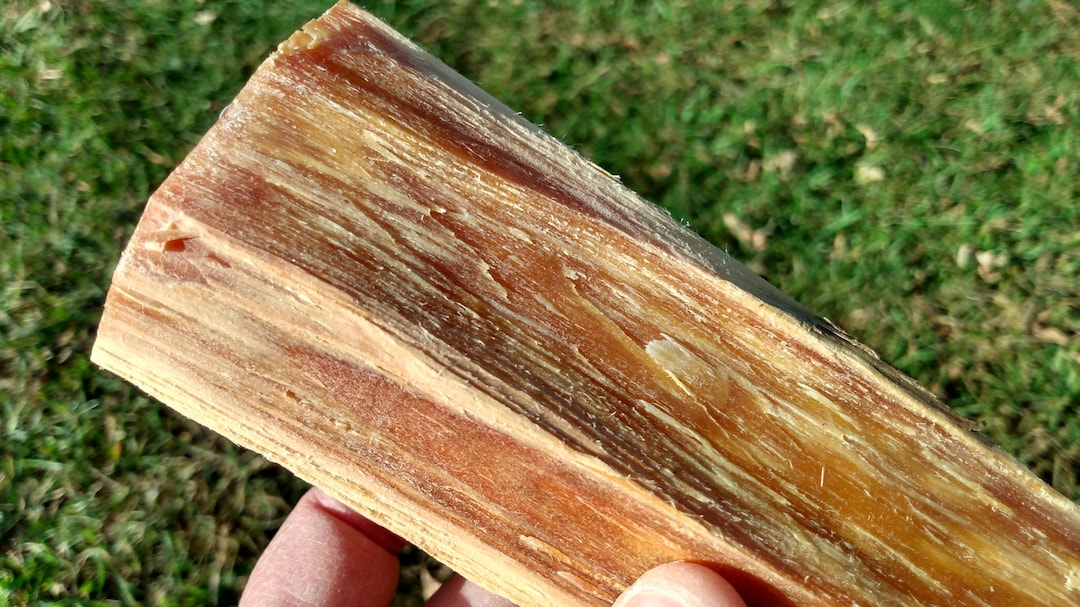 Red Pine Fatwood | Single Processed Branch | for Fire Starter - Etsy