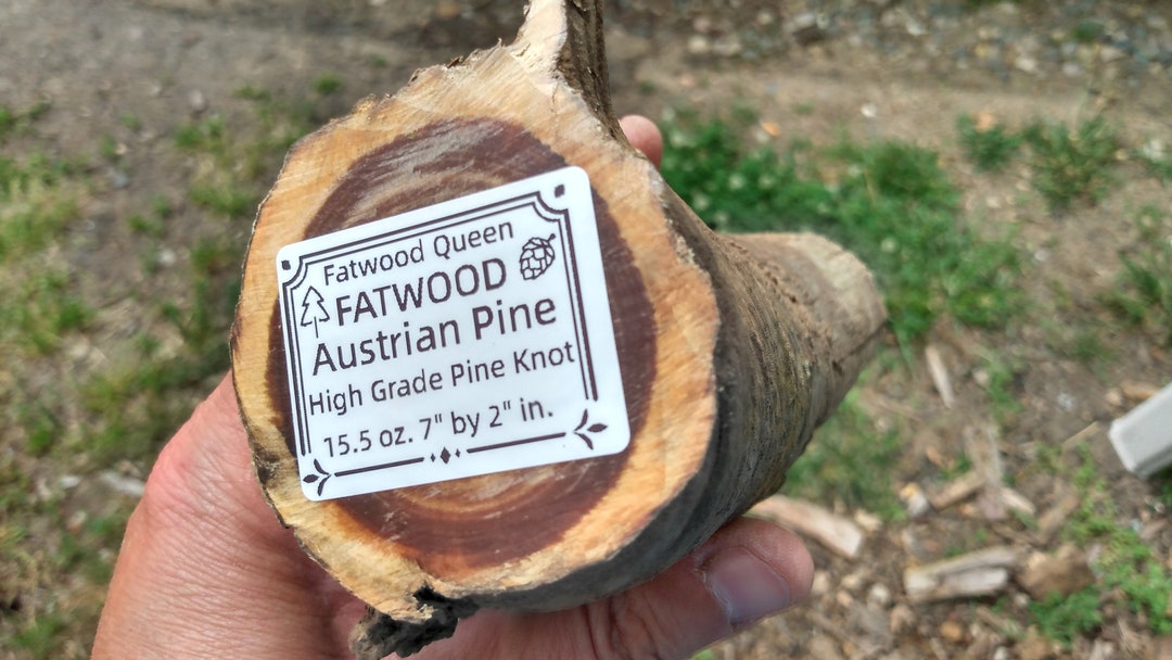 High Grade Pine Knot Fatwood Austrian Pine 99% Resinous for Fire Making ...