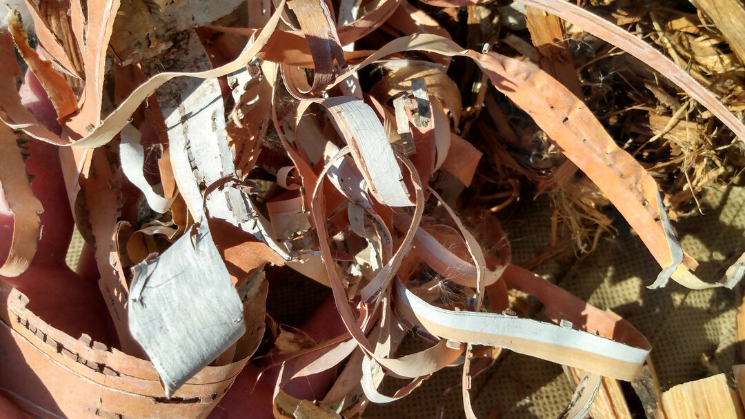 Bushcraft Dry Tinder Mix Bird's Nest Material for Fire Making Cedar ...