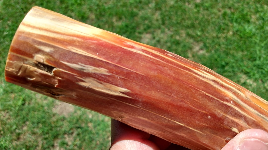 Rich Carved/shaved Pine Knot Fatwood High Octane Red Pine MI GOLD for ...