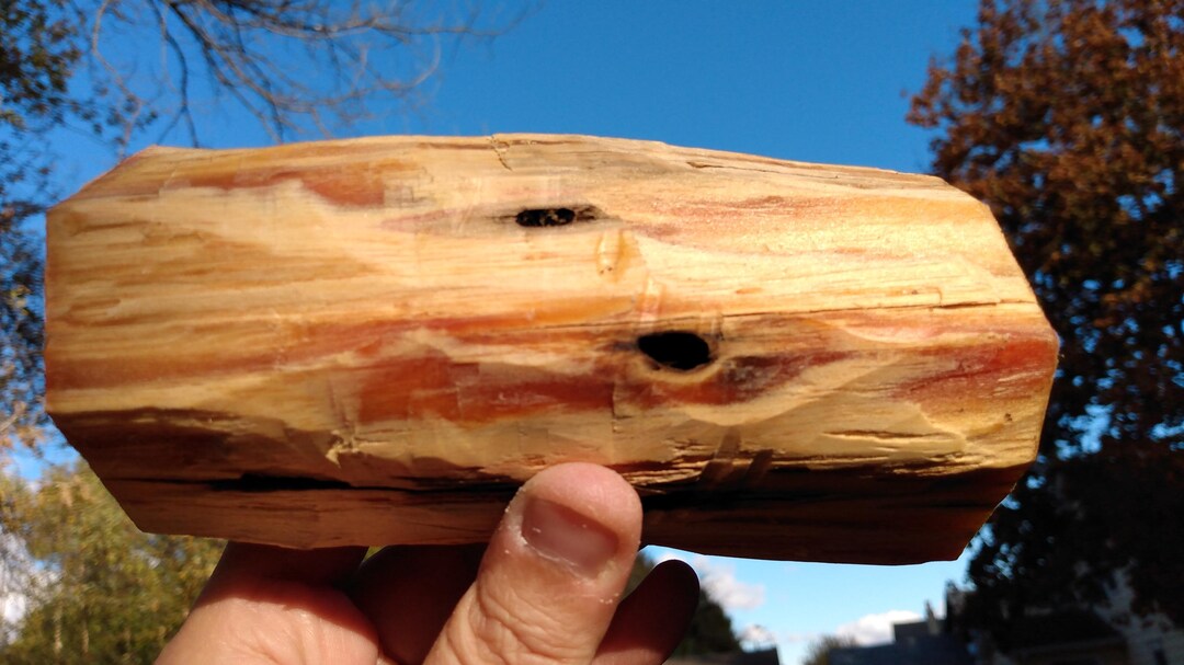 Michigan Pork Belly Fatwood Log for Fire Starter - Etsy