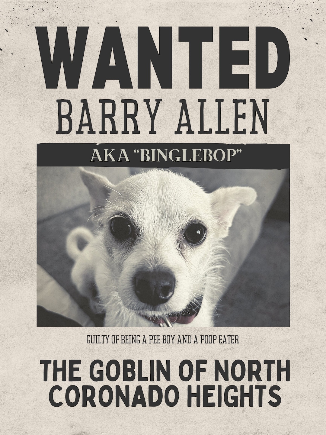 Pet WANTED Poster - Customizable - Etsy