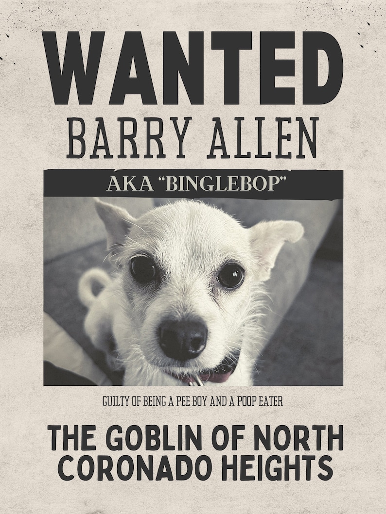 Pet WANTED Poster - Customizable - Etsy