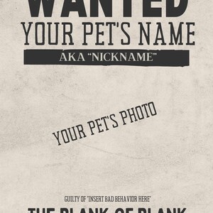 Pet WANTED Poster - Customizable - Etsy
