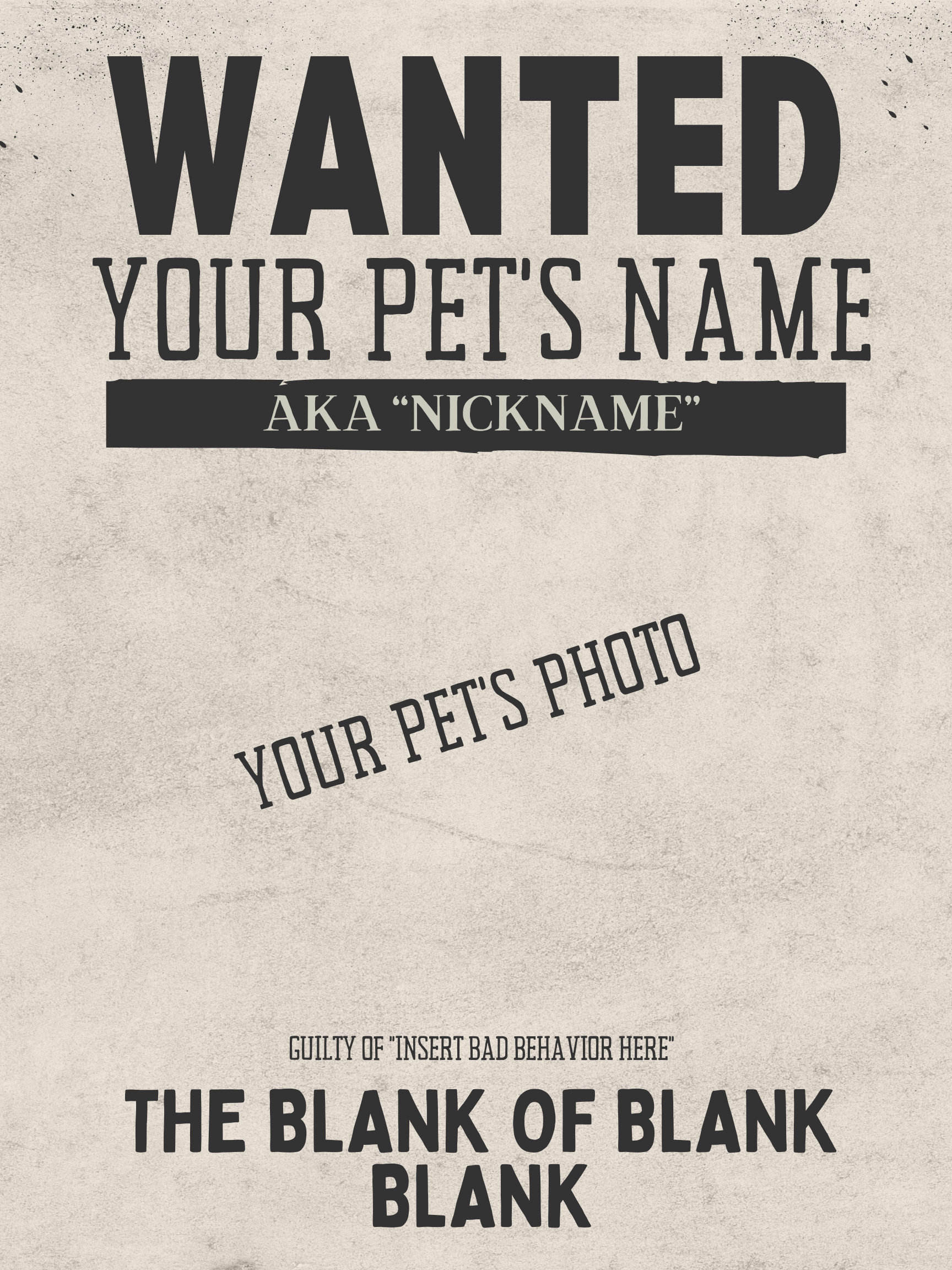 Pet WANTED Poster - Customizable - Etsy