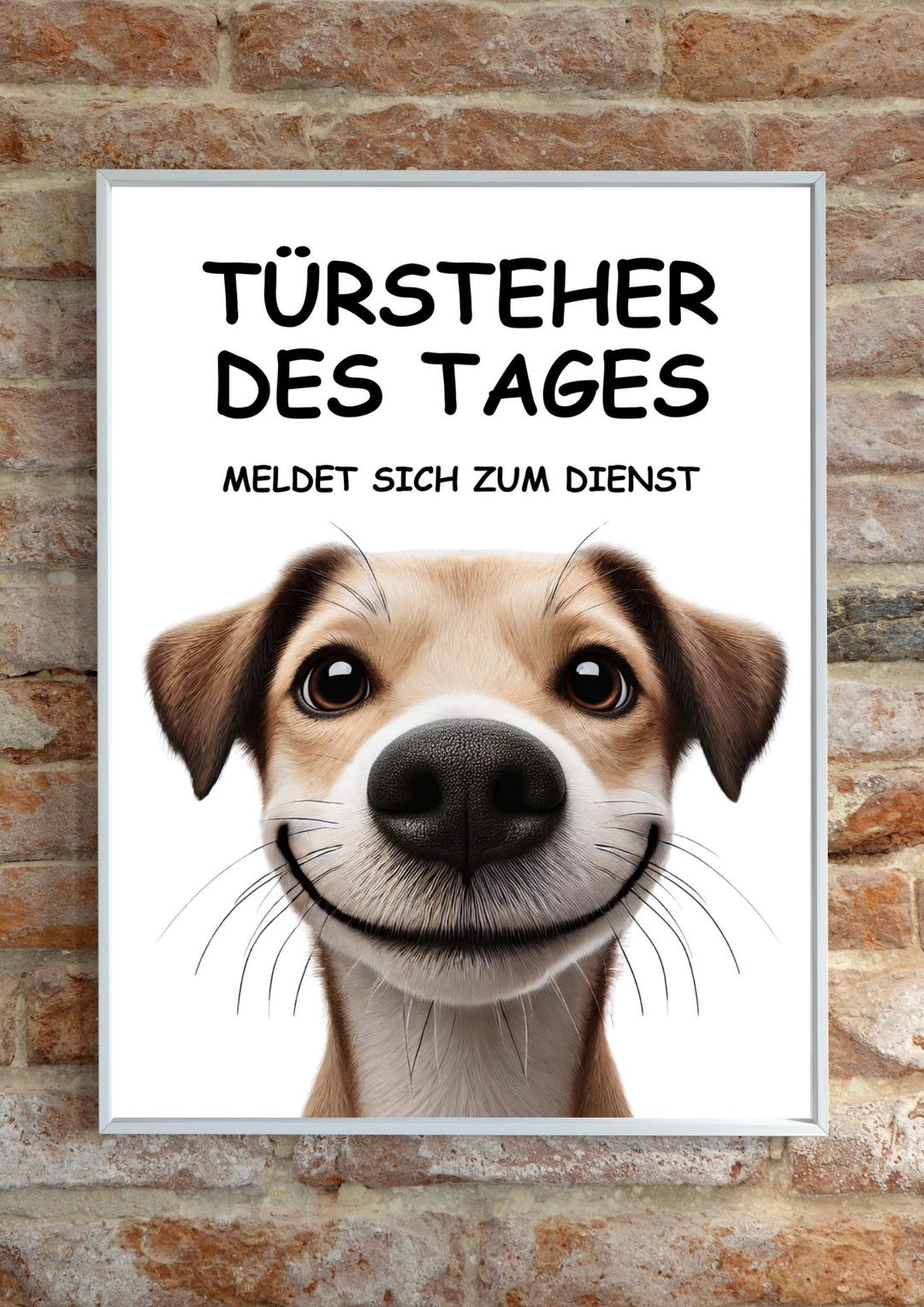 Funny Dog Poster bouncer of the Day Wall Decoration Sayings and Gift ...