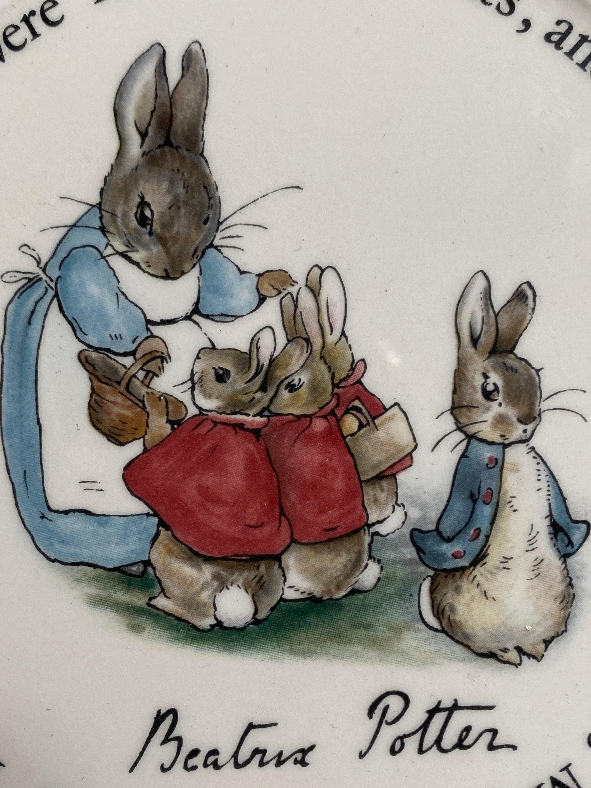Peter Rabbit Wedgewood Plate - Etsy