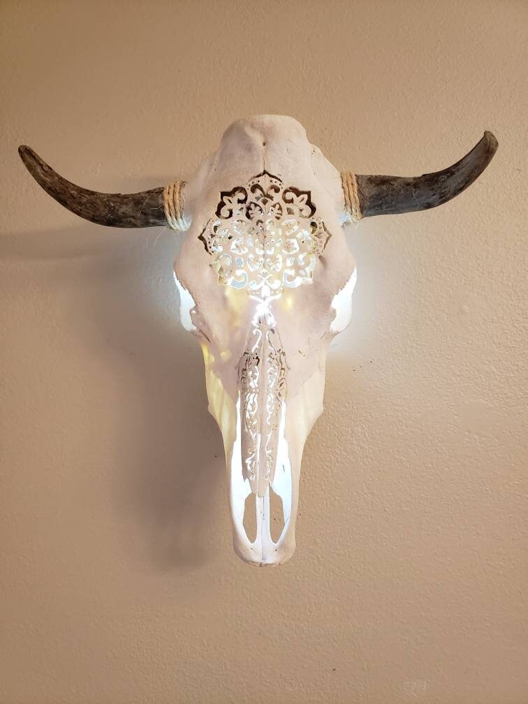 Real Hand Carved Cow Skull That Lights Up - Etsy
