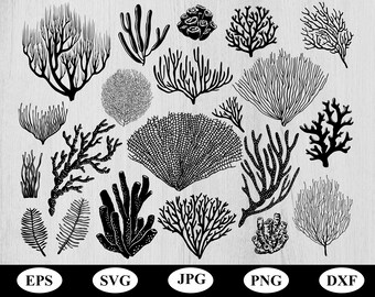 Coral Reef Svg | Etsy