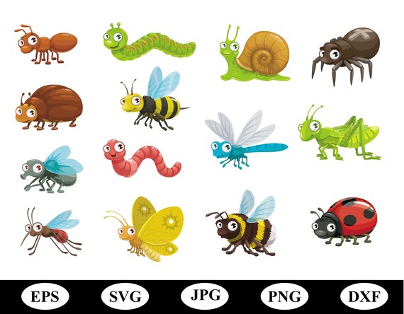 Cartoon Bugs Animals Illustration Sets Design Element - Etsy