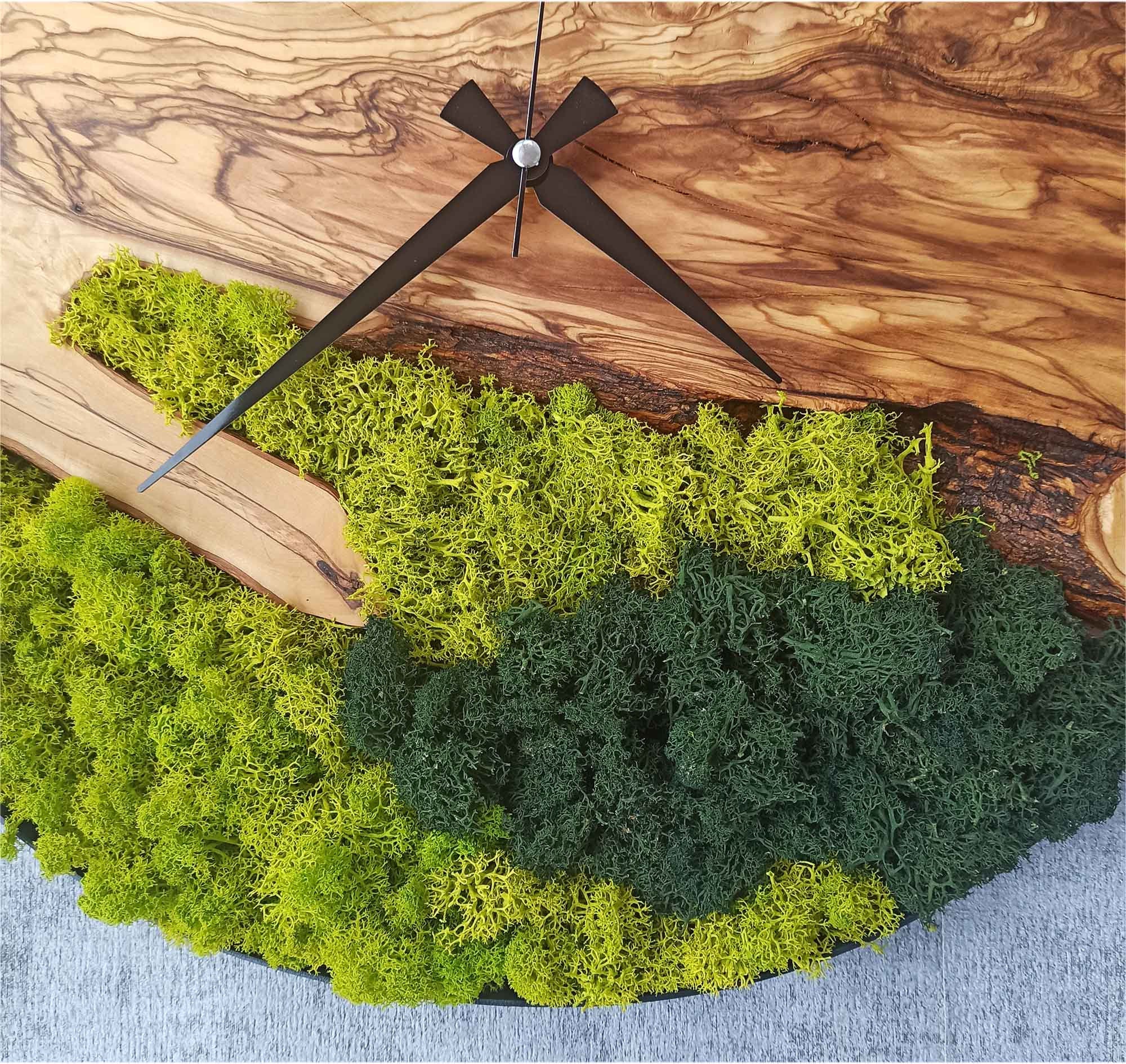 Made to Order Olive Wood Moss Wall Clock, Moss Wall Clock, Handmade ...