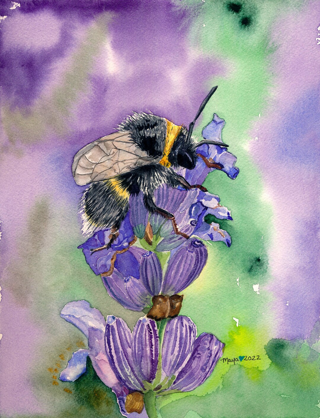 Bee Lavender Watercolor Print From Original - Etsy