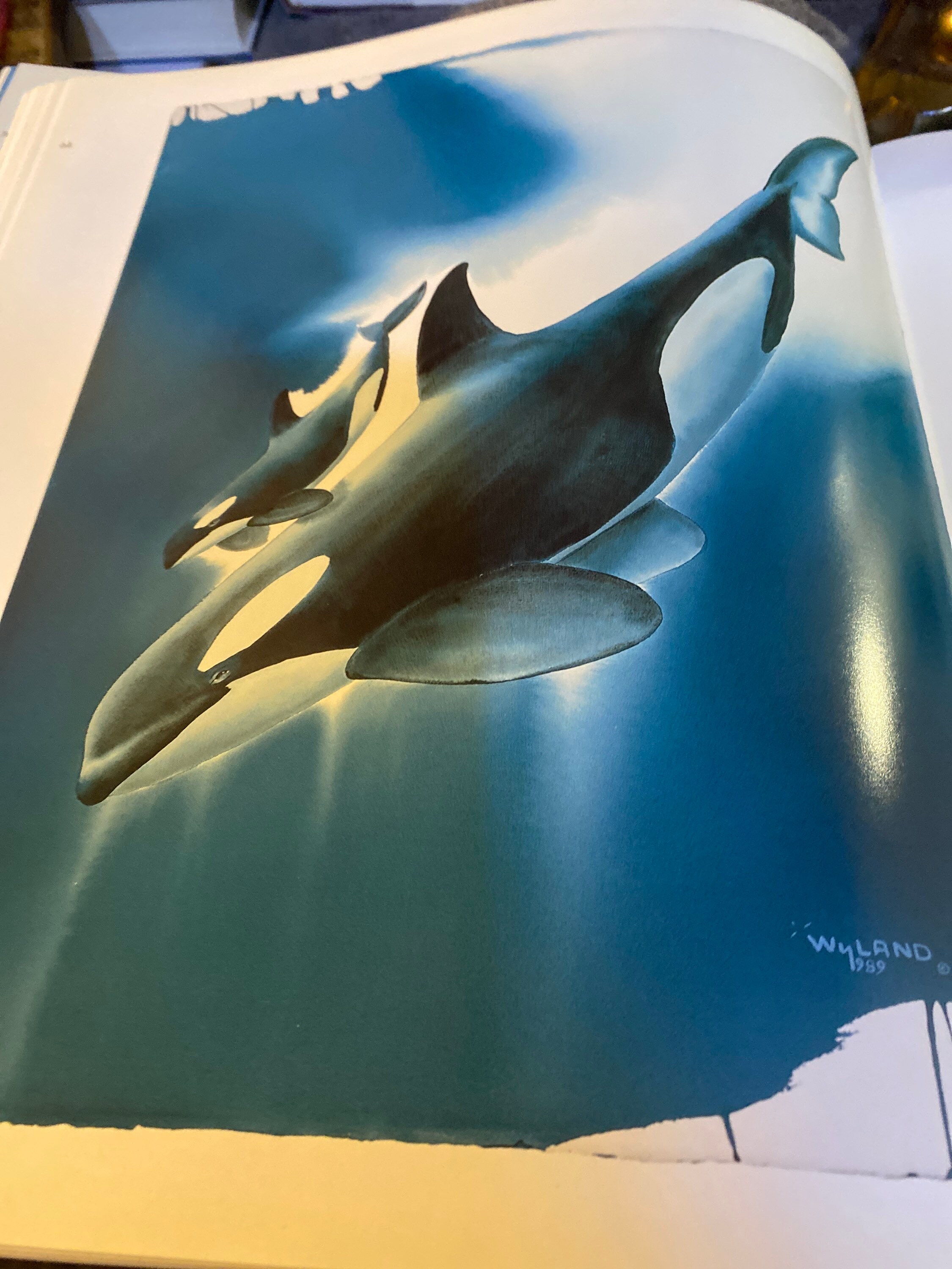 The Art of Wyland,1992 First Edition, Signed by Wyland Art Gift Signed ...