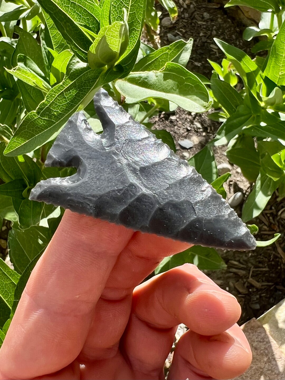Dacite Obsidian Basal Notch Arrowhead - Etsy