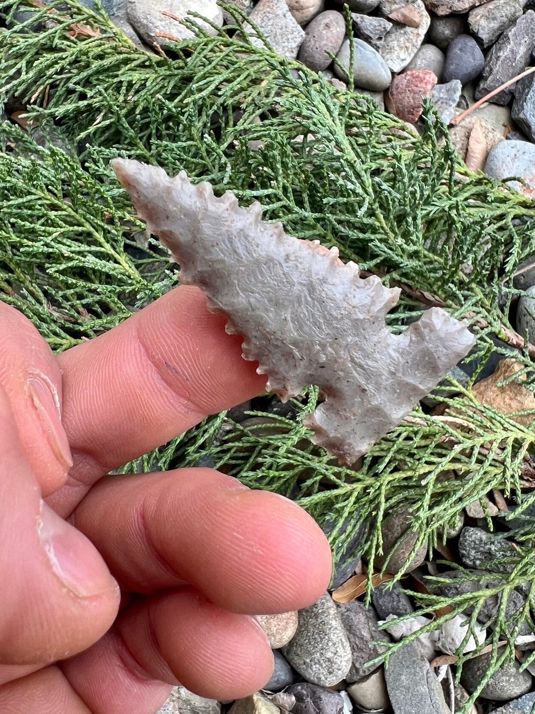 Edwards Plateau Cahokia Arrowhead - Etsy