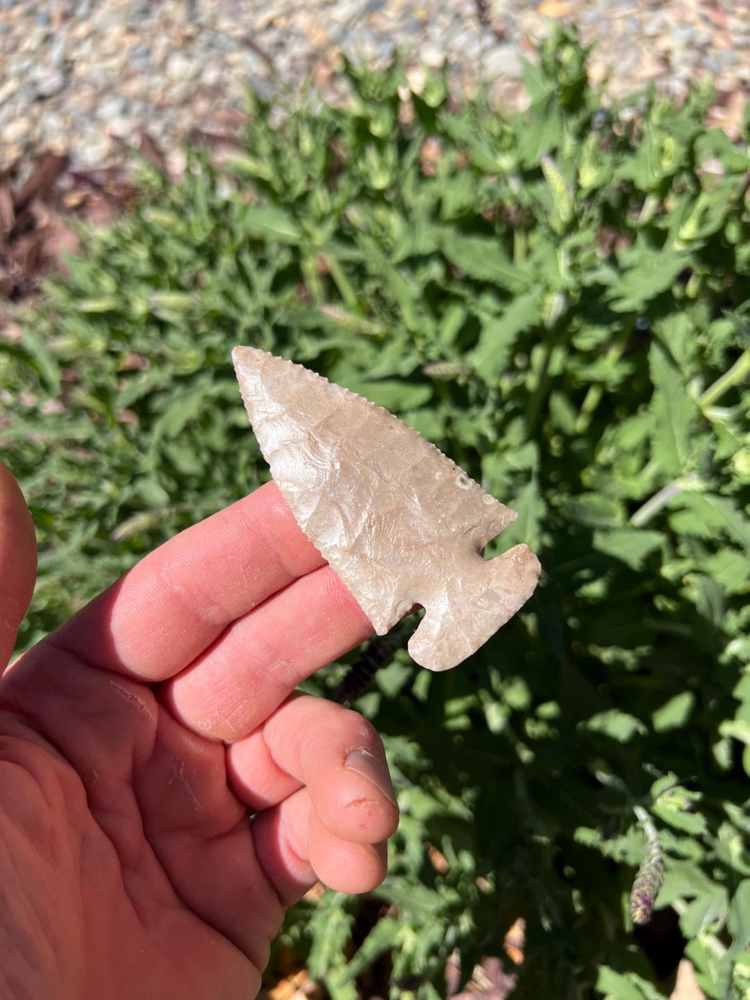 Edwards Chert Arrowhead - Etsy