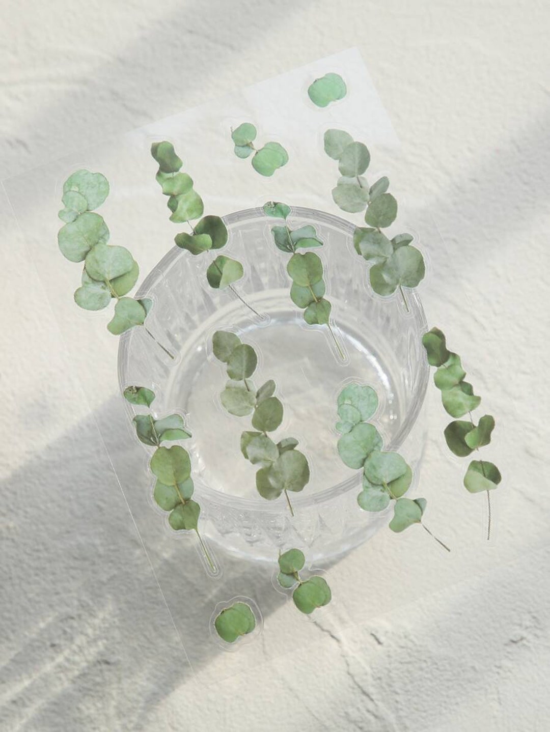 Eucalyptus Stickers Botanical Sticker Foliage Stickers - Etsy