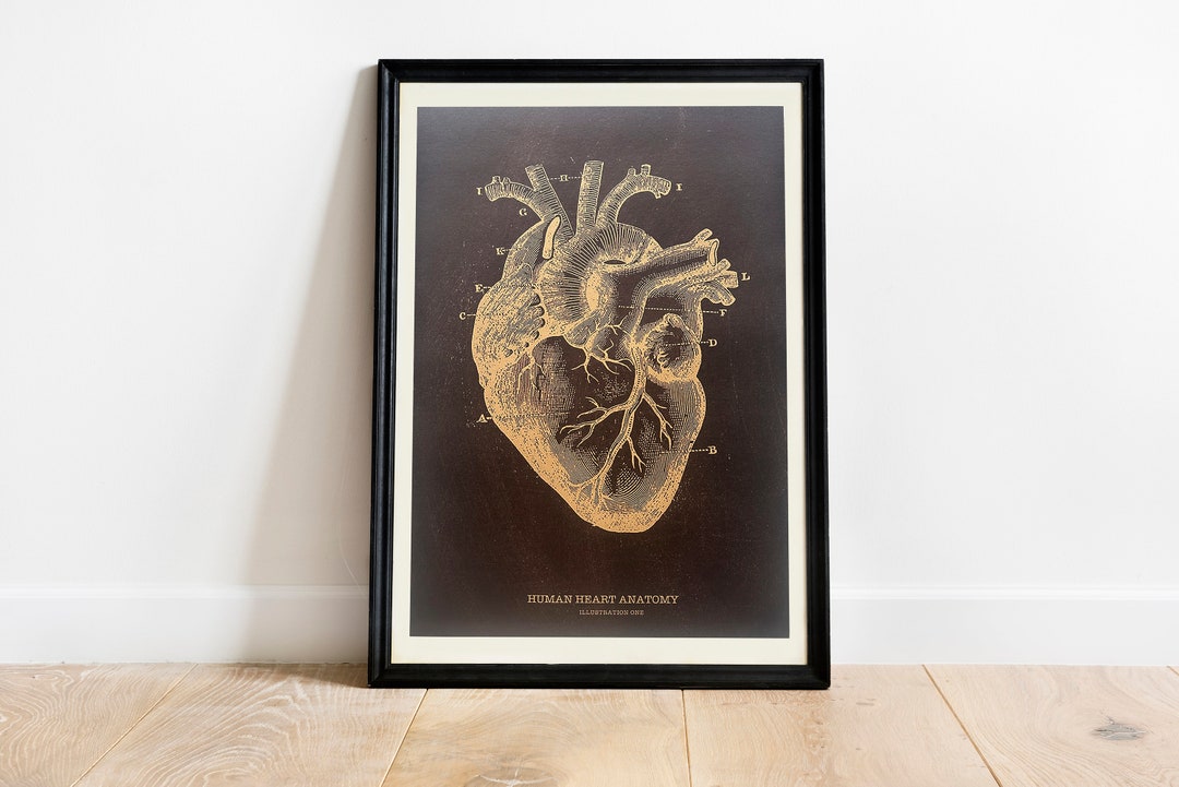 Human Heart Poster Human Anatomy Print Human Heart Print Heart Wall ...