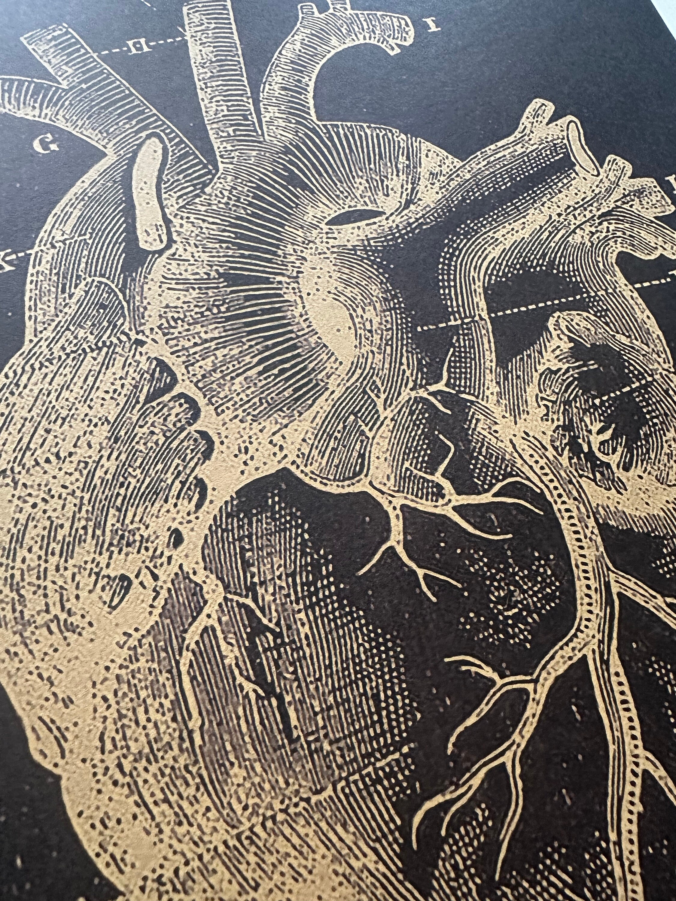 Human Heart Poster Human Anatomy Print Human Heart Print Heart Wall ...